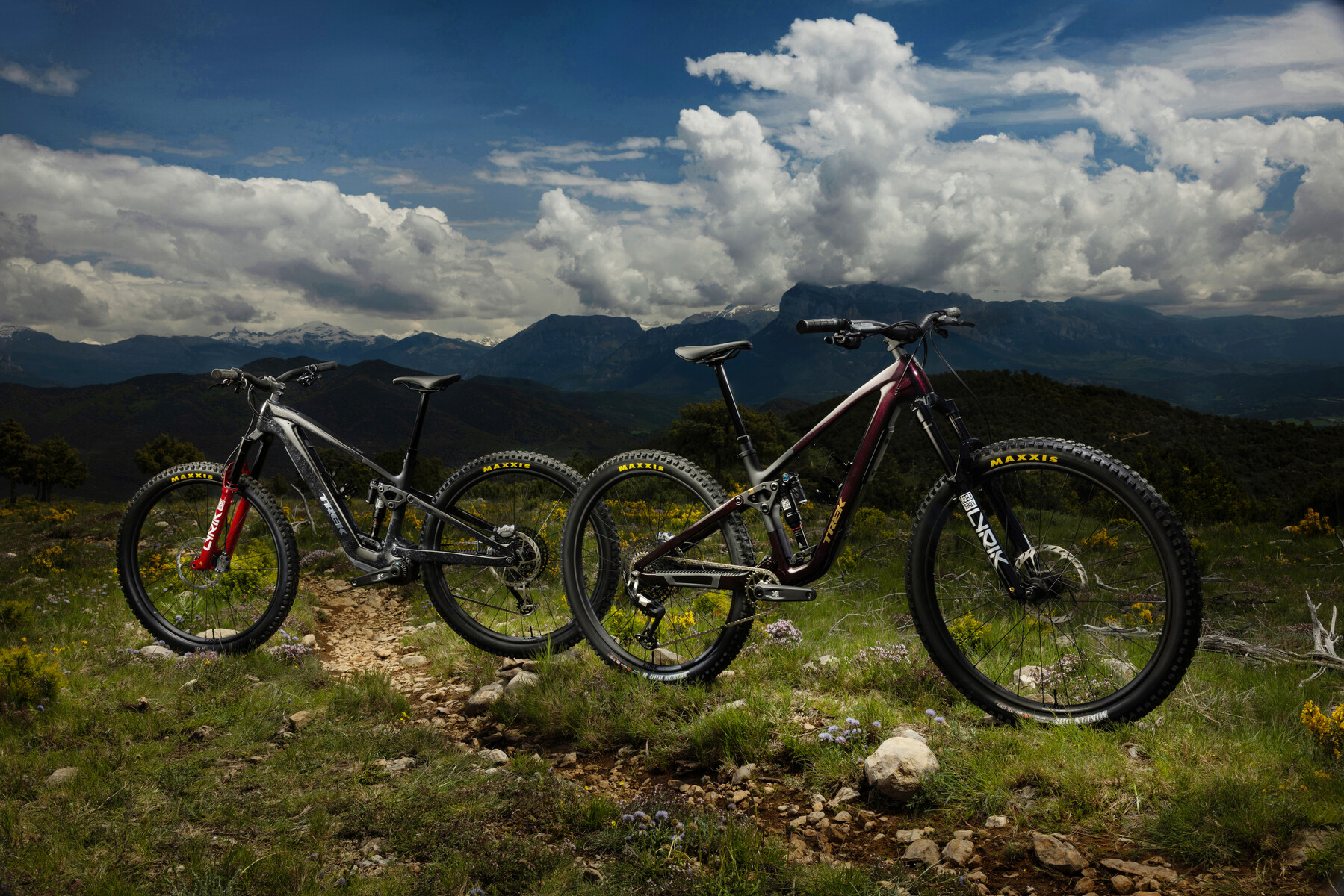 Trek Unveils New Fuel and Fuel+ Trail Bikes with Enhanced Modularity ...