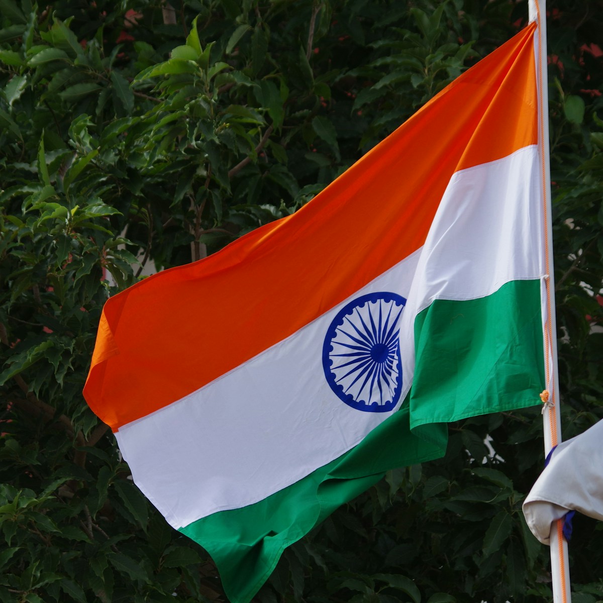 India Electric Car Sales Rise 77% in 2025 as Public Charging Network ...